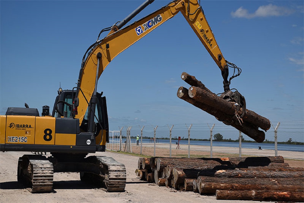 Puerto de Ibicuy: comenzó a operar con el acopio de madera para ...