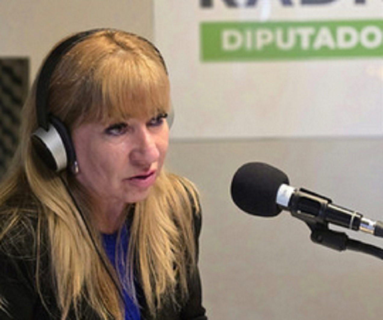 Comenzó un curso de capacitación sobre el proyecto de Código Rural de ...